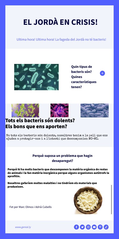 Els bacteris | Genially