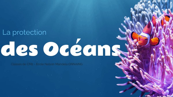 Protection des océans