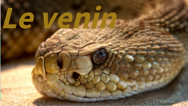 Le venin | Genially