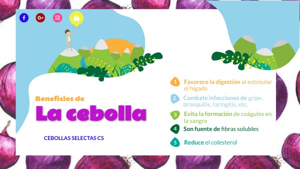 BENEFICIOS DE LA CEBOLLA