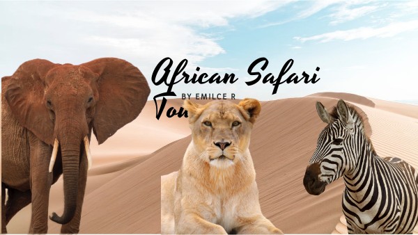 African Safari Tour