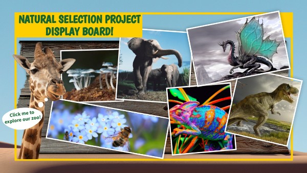 Natural Selection Project Display Board
