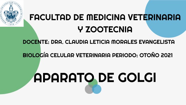 APARATO DE GOLGI