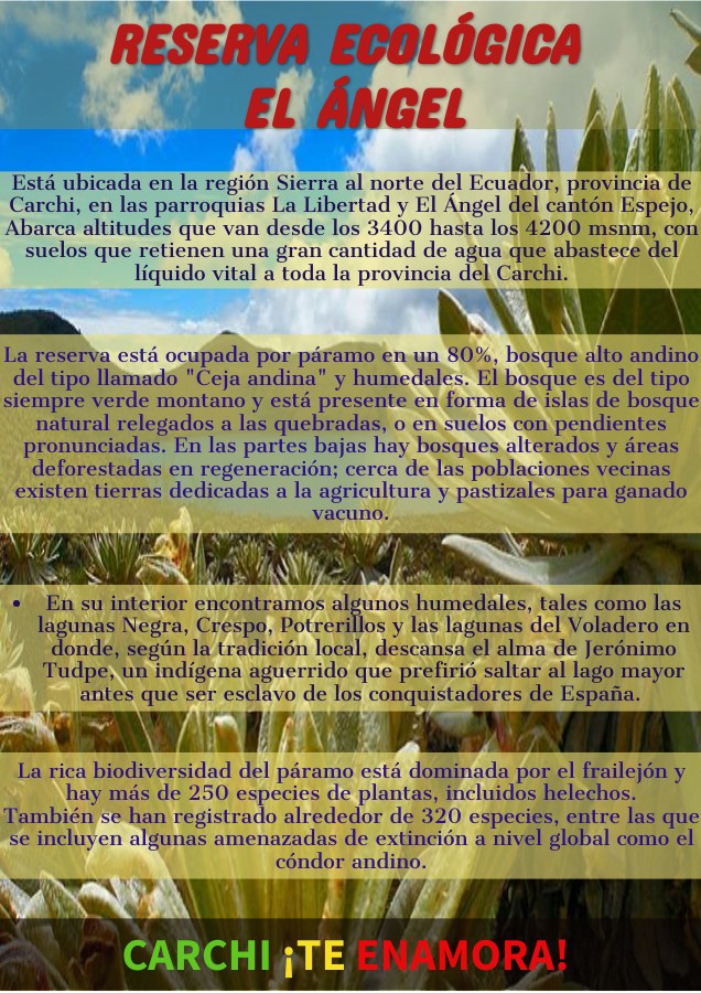 RESERVA ECOLÓGICA EL ÁNGEL - DENNISE VILLARREAL