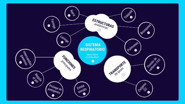 MAPA CONCEPTUAL CIRCULAR | Genially