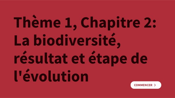 Révisions Thème 1 Chapitre 2 | Genially