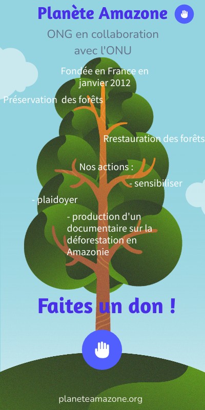 deforestation amazonie | Genially