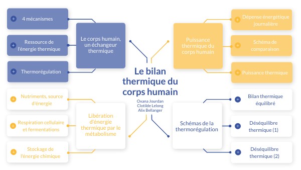 Bilan thermique du corps humain - Jourdan, Lelong et Bellanger | Genially