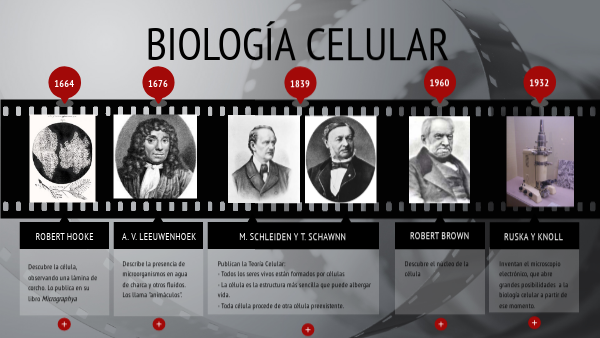 Línea temporal de la biología celular | Genially