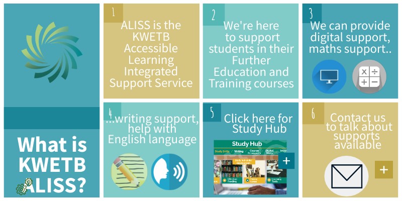 ALISS Service infographic