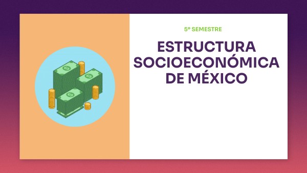 Introducción a la estructura socioeconómica