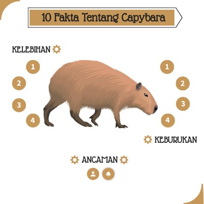 10 Fakta Capybara