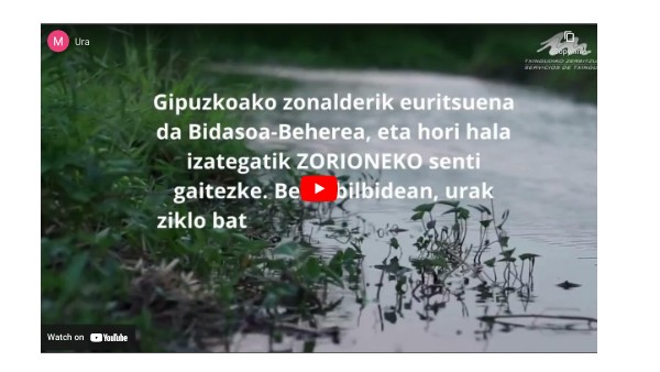 Froga bideo | Genially