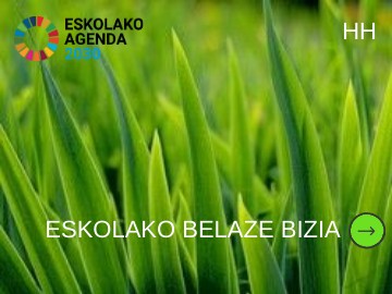 ZARAUTZ_ ESKOLAKO-BELAZE-BIZIA-HH