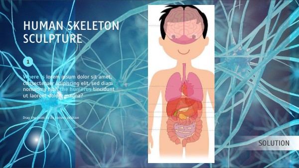 BODY PARTS | Genially