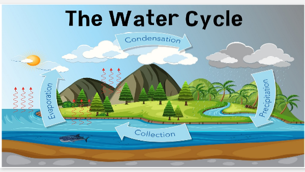 THE WATER CYCLE | Genially