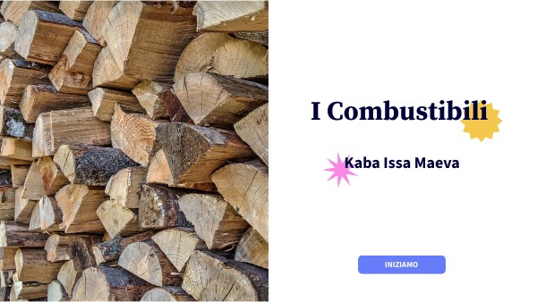 I Combustibili