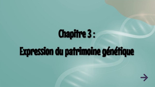 Chapitre 3 - Expression du patrimoine génétique