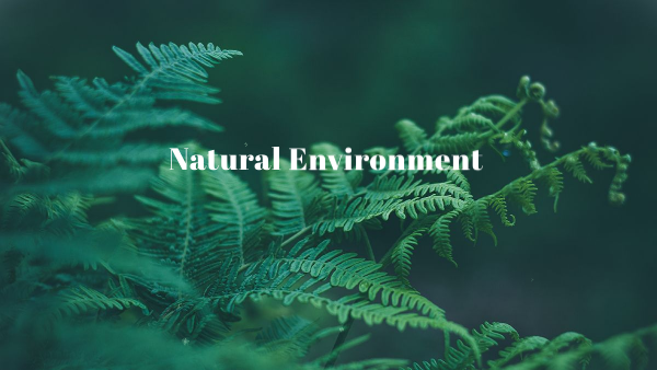 Natural environment