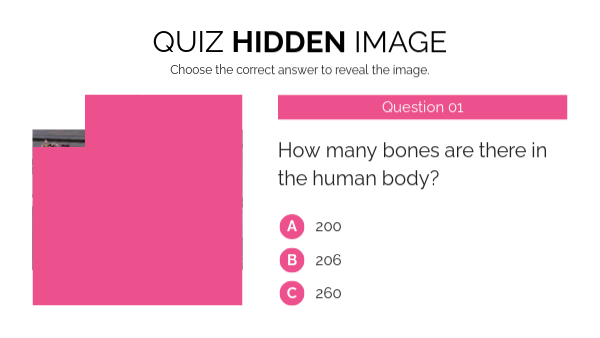 Human skeleton | Genially