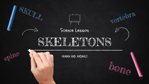 the skeleton - grade 4 science lesson | Genially