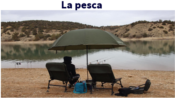trabajo sobre la pesca