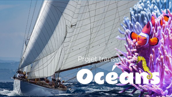 OCEAN PRESENTATION II