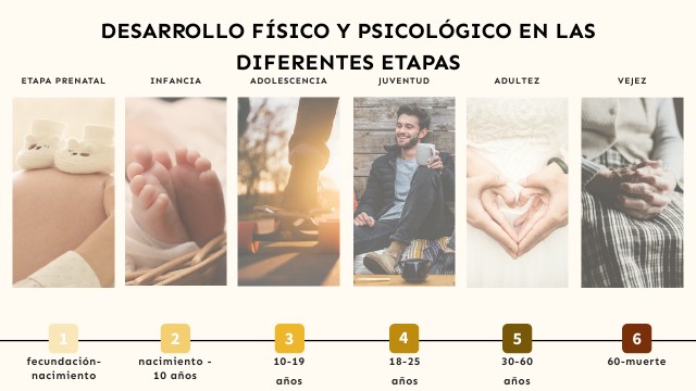 Actividad Individual Mód. II_Paulina Pérez Velasco_625 | Genially