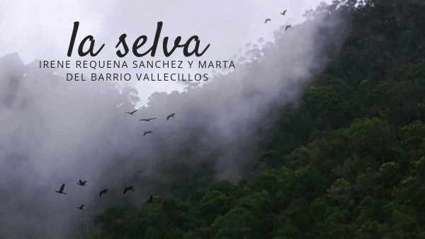 la selva | Genially