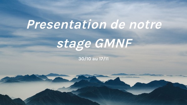 stage GMNF term