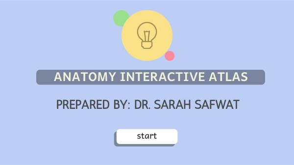 Anatomy Practical | Genially