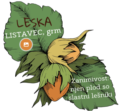LESKA | Genially