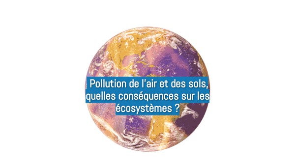POLLUTION PRESENTATION
