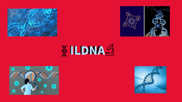 IL DNA | Genially