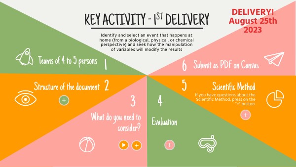 Key Activity 1st Delivery | Genially