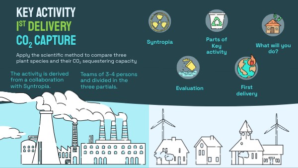 Key Activity 1st delivery MS2024 | Genially