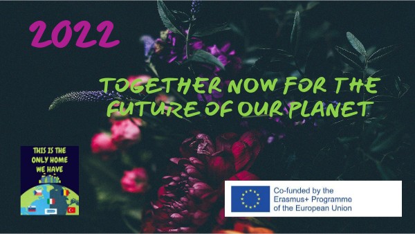 CALENDAR 2022 TOGETHER NOW FOR THE FUTURE OF OUR PLANET | Genially