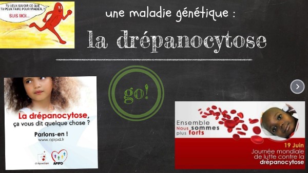 Drépanocytose 1°spé | Genially