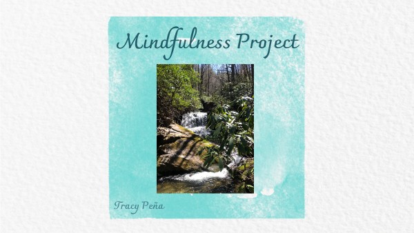 Mindfulness Project