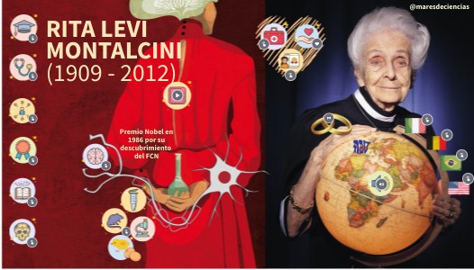 Rita LEVI MONTALCINI - reina de espadas de la neurobaraja | Genially