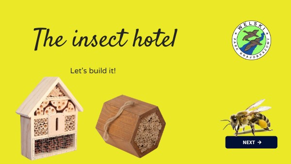 The insect hotel