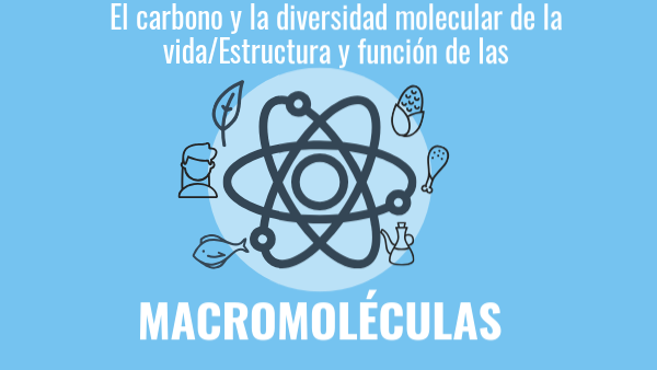 Macromoleculas | Genially
