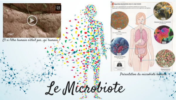 Découverte du microbiote | Genially