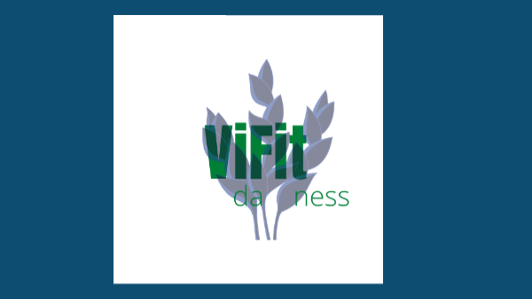 ViFit