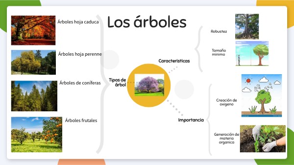 Los árboles | Genially