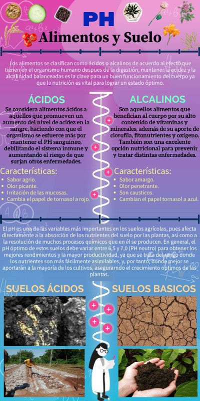 Infografia PH | Genially