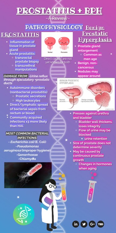 BPH & Prostatitis Infographic | Genially
