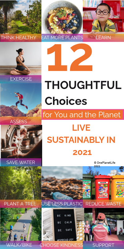Sustainable Living Ideas | Genially
