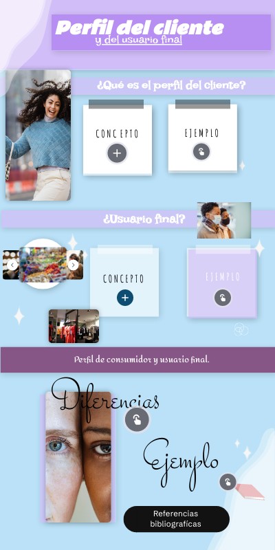 Perfil del cliente y usuario final