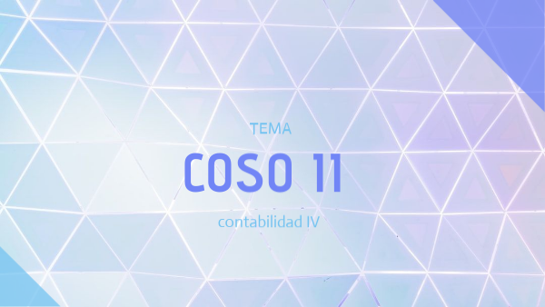 COSO II